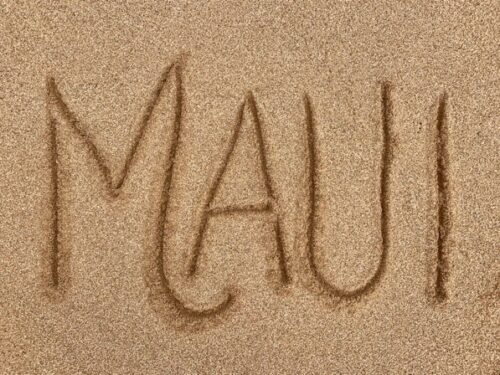 75 Maui Travel Tips for a Dream Vacation! The Frugal Girls