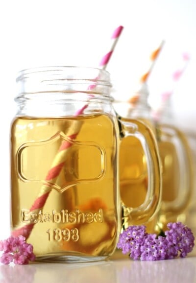 Sparkling White Grape Party Punch Recipe (Just 2 Ingredients!)