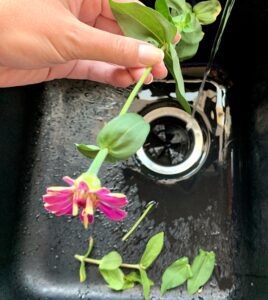 How to Keep Cut Flowers Fresh Longer! - The Frugal Girls