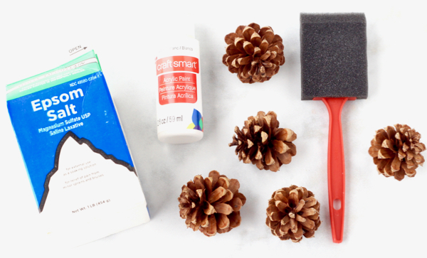 DIY Snowy Winter Wonderland Pine Cones (So EASY!)