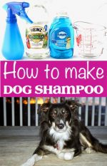 Best Homemade Dog Shampoo (Just 3 ingredients!)